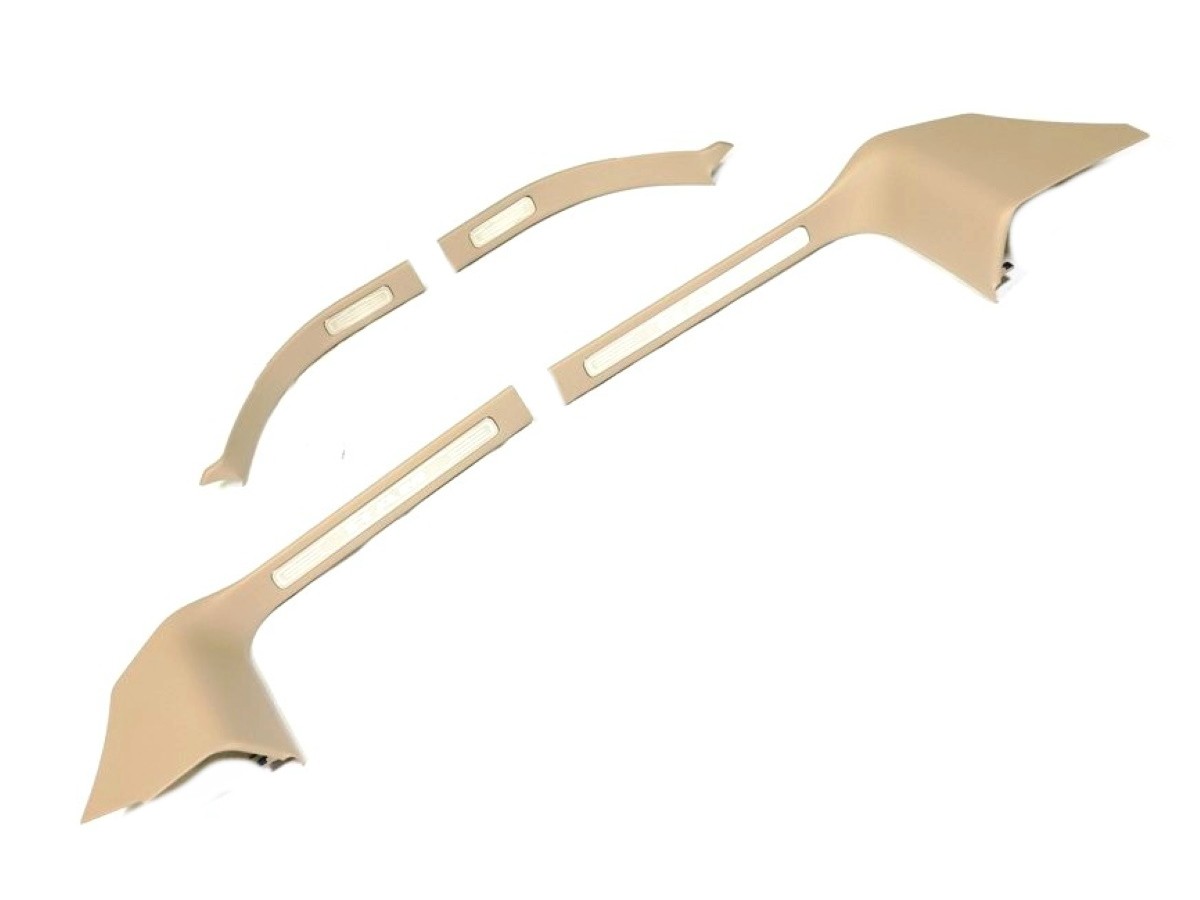 Mopar Door Sill Guards - Quad Cab - Lt. Frost - 82215705 | All Mopar Parts