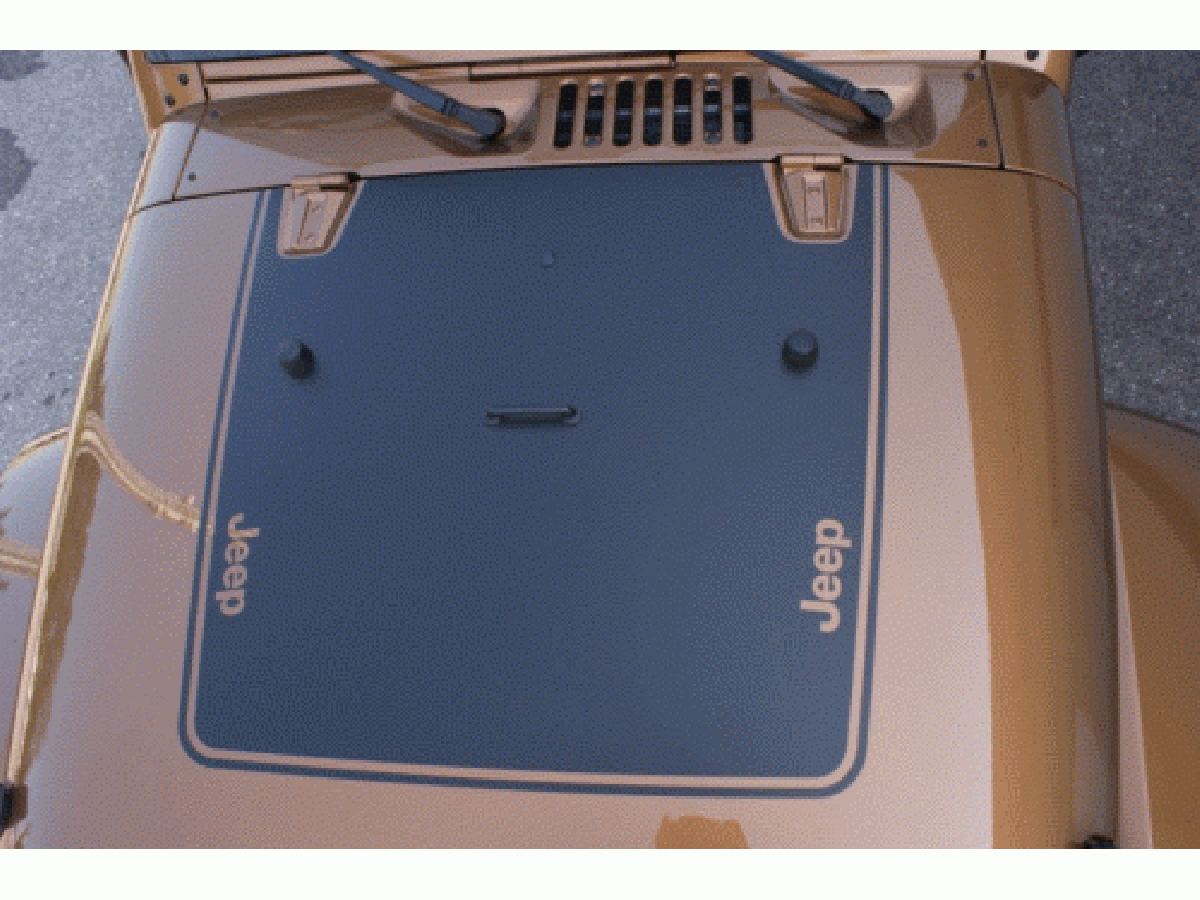 Mopar Hood Decal Matte Black - 82212890 | All Mopar Parts